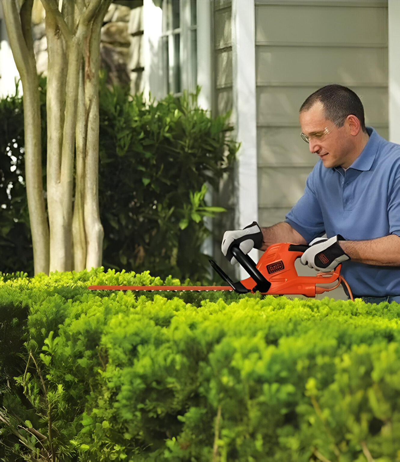 Horticulture Plantation Services - Xylem Gardening
